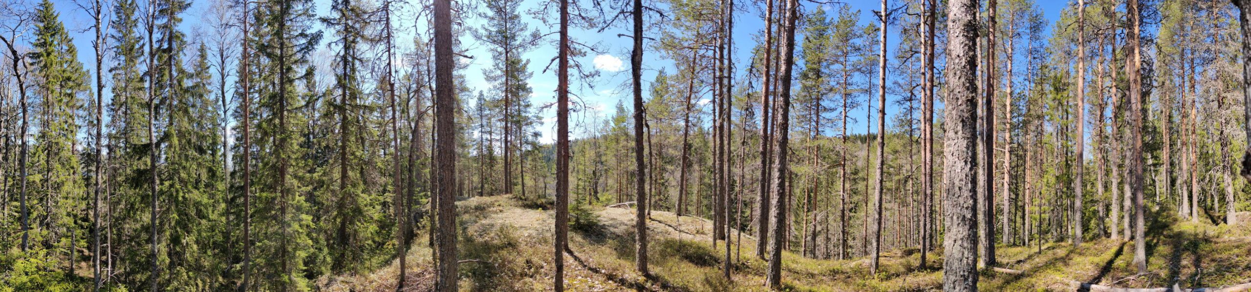 Carbon – who needs to know? A closer look at those in need of national ...